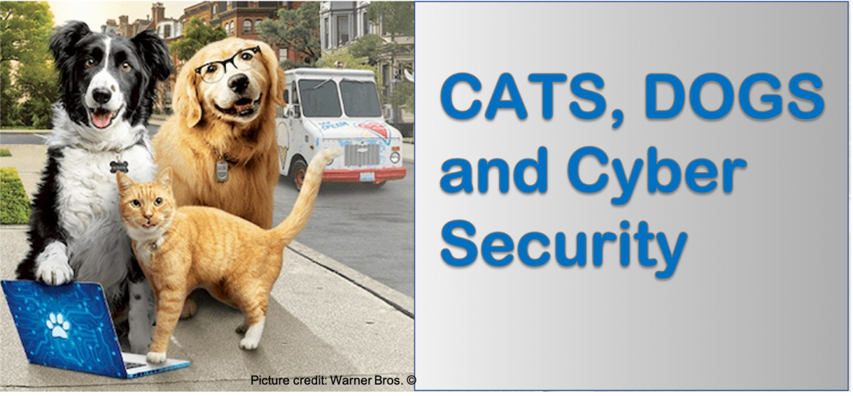 Cats, Dogs and Cyber Security - Elasticito